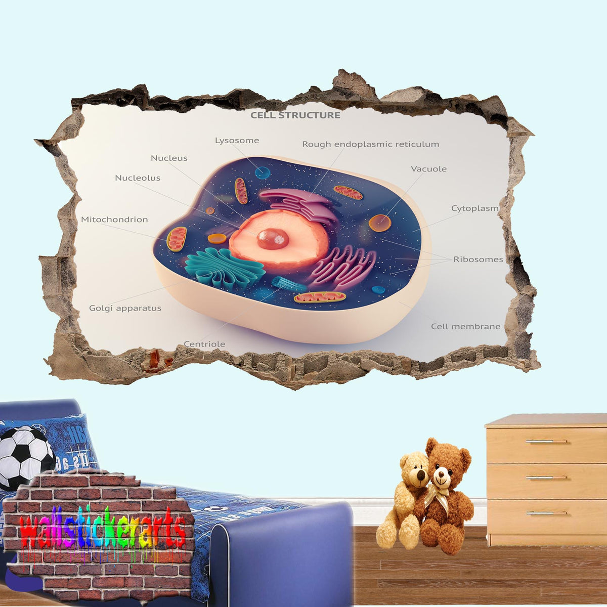 BIOLOGY CELL STRUCTURE ART 3D EFFECT WALL STICKER ROOM OFFICE NURSERY ...