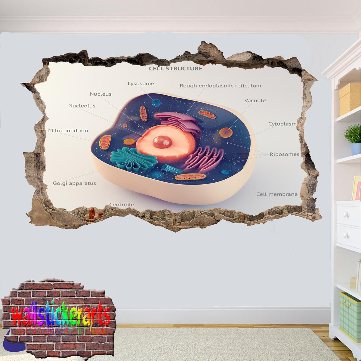 Biology Cell Structure Art 3d Effect Wall Sticker Room Office Nursery ...